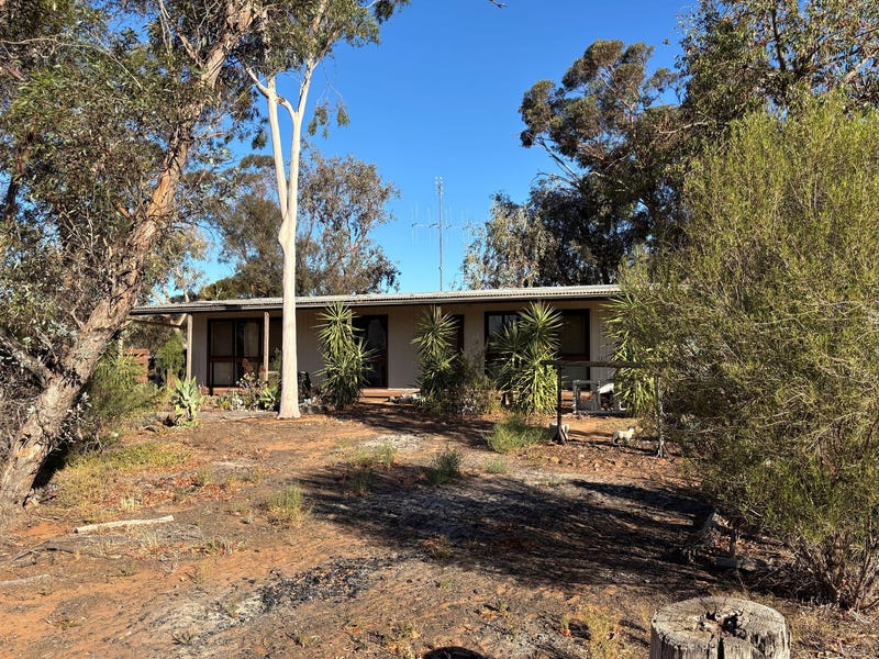 5825 Robinvale-Sea Lake Road, Manangatang, Vic 3546 - Lifestyle for ...