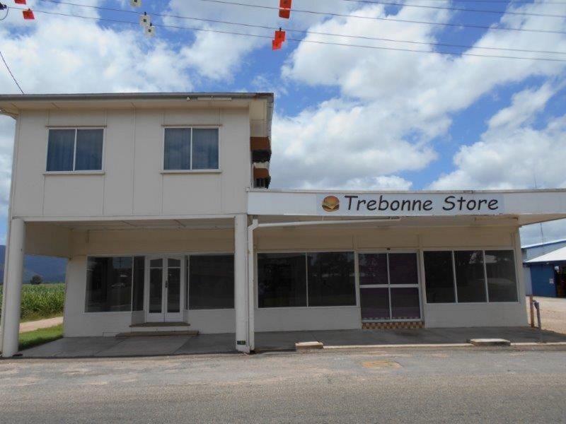 52 Abergowrie Road, Trebonne, QLD 4850 - realestate.com.au