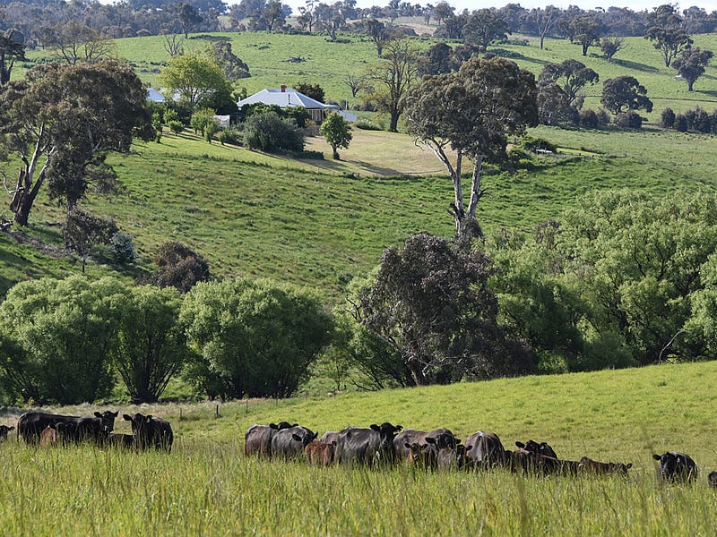 1081 Triangle Flat Road, Bathurst, NSW 2795 - Property Details