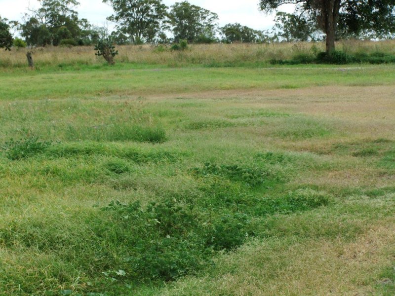 1516 Haden Crows Nest Road, Haden, QLD 4353 - realestate.com.au