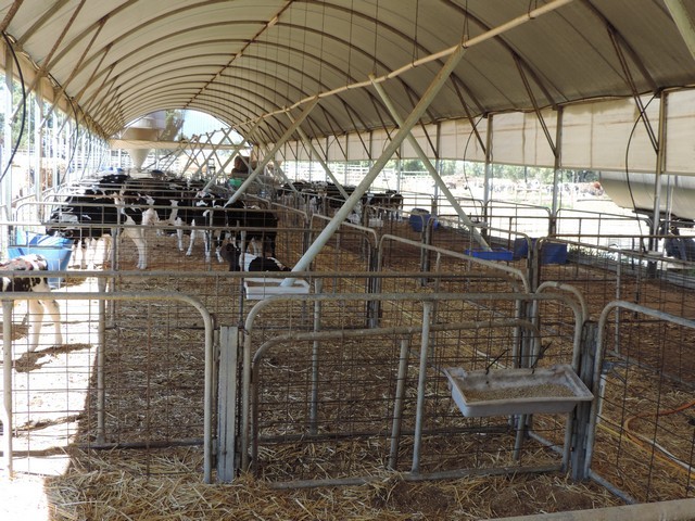 173 Torrumbarry Weir Road, Patho, VIC 3564 - realestate.com.au