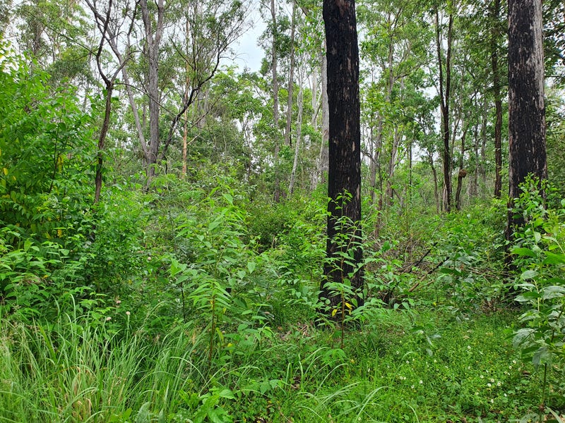 6, Crumpton Drive, Blackbutt, Qld 4314 - Property Details