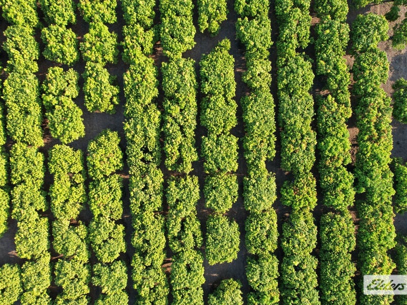 Real Estate for Sale in Tumbling Waters, NT 0822 - realestate.com.au