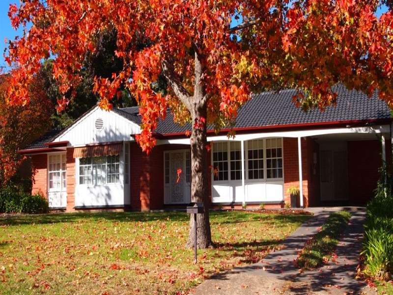 8 Kent Avenue, Glenalta, SA 5052 - realestate.com.au