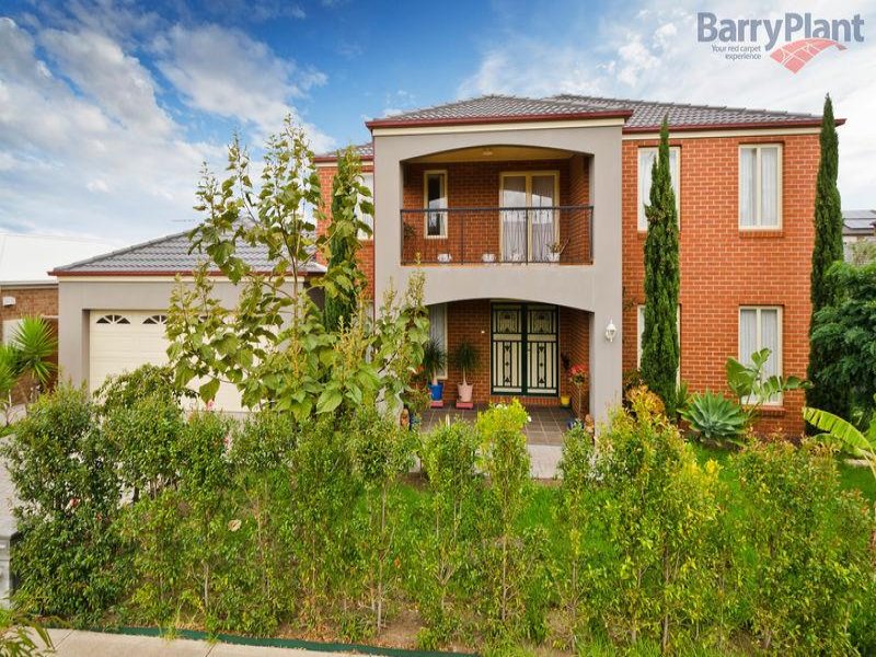 19 Sarsparilla Drive, Point Cook, VIC 3030 - realestate.com.au