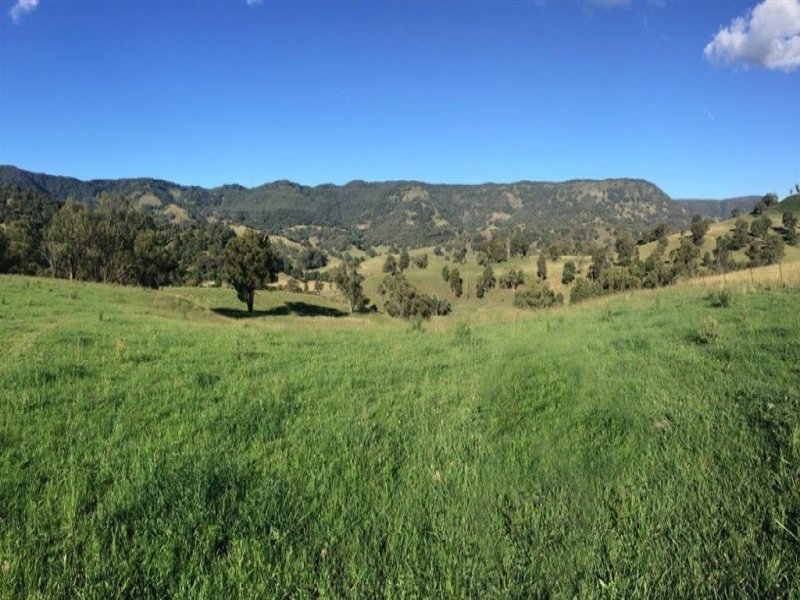 2260 Pages Creek Rd, "Harlyn", Ellerston via, Scone, NSW 2337 ...